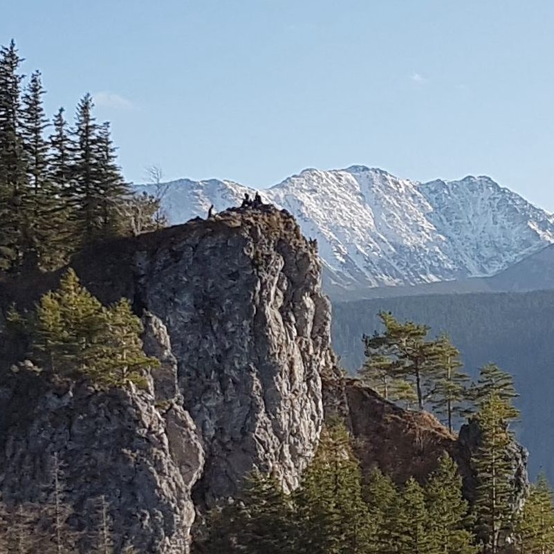 Nosal - łatwy i widokowy szczyt z Zakopanego - Zakopane