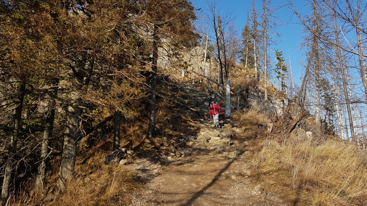 Nosal - an easy and scenic peak from Zakopane - Zakopane (Zakopane)