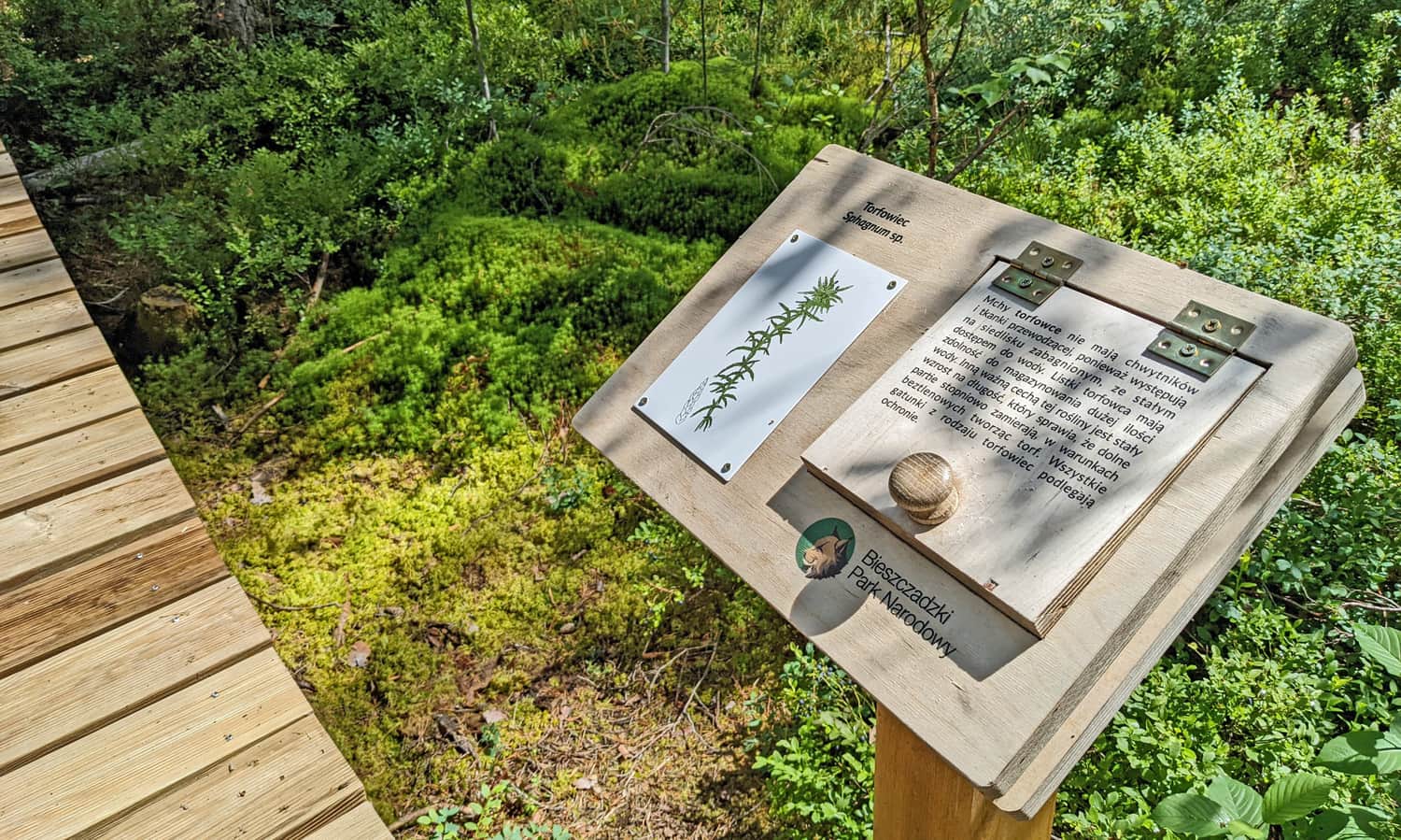 Tarnawa Peat Bog - attractions, interesting facts