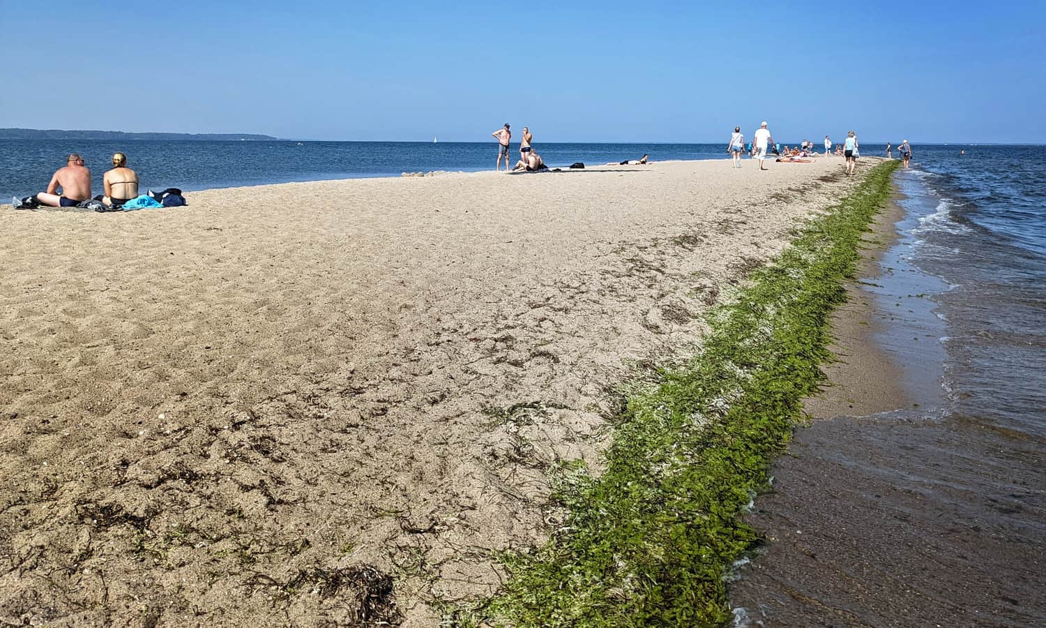 Rewa: Cypel Rewski czyli Szperk