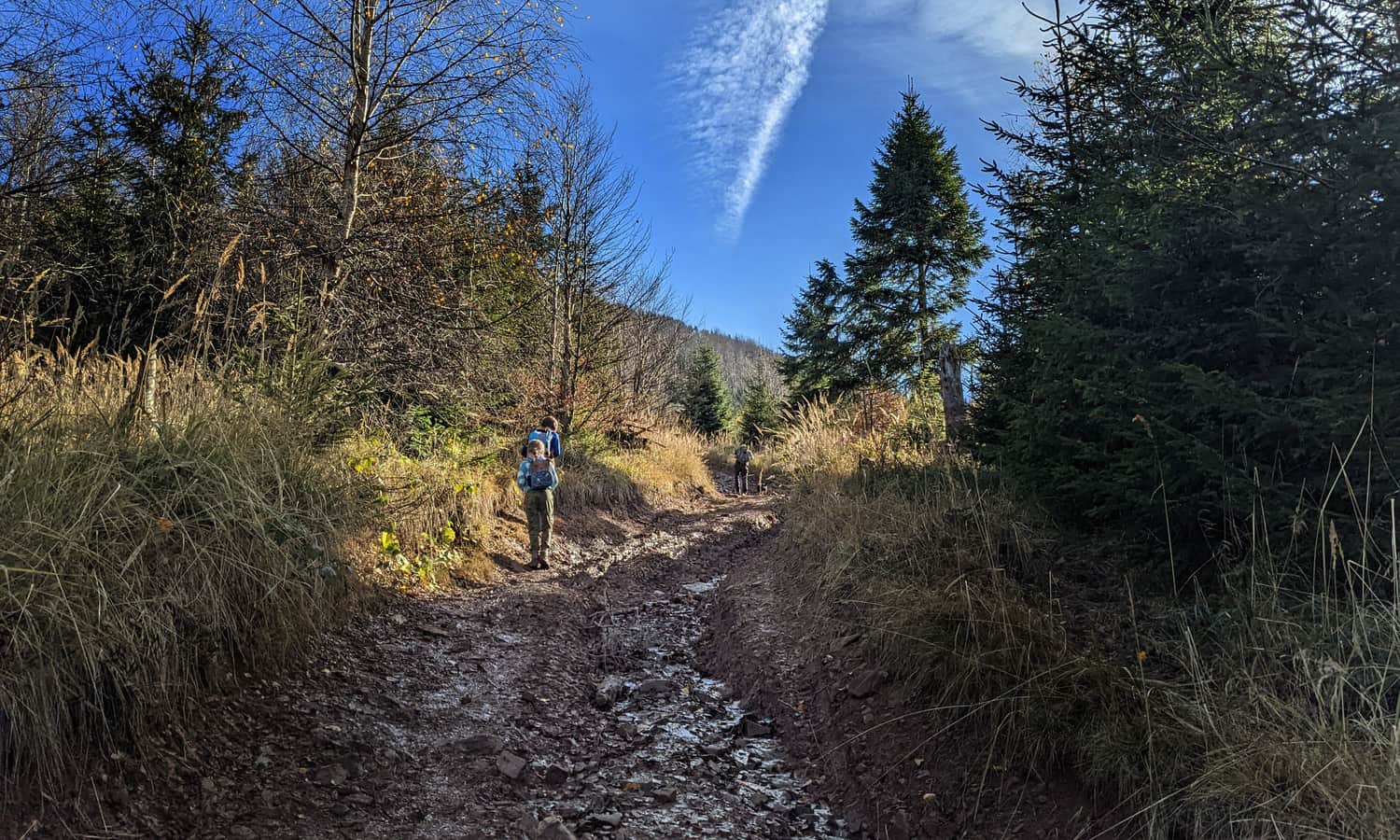 Romanka from Żabnica through Słowianka