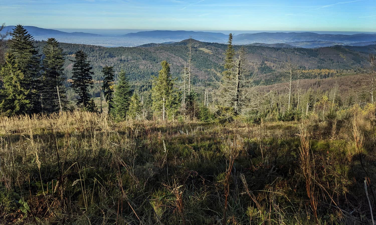 Romanka z Żabnicy przez Słowiankę