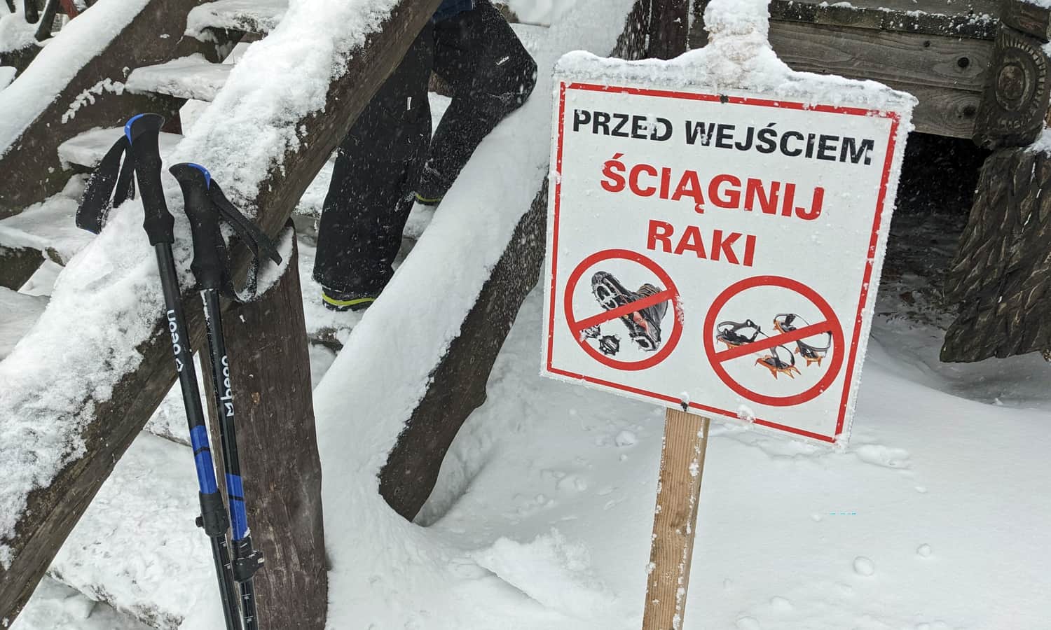 Raki i raczki: jak i kiedy nosić?