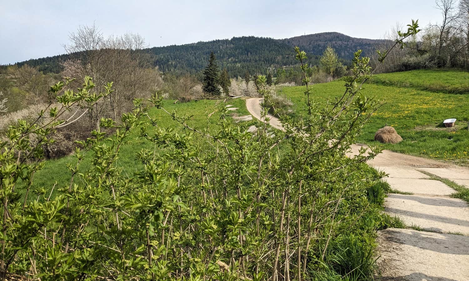 Yellow Trail to Luboń Wielki - Borkowski's Path - Rabka Zdrój