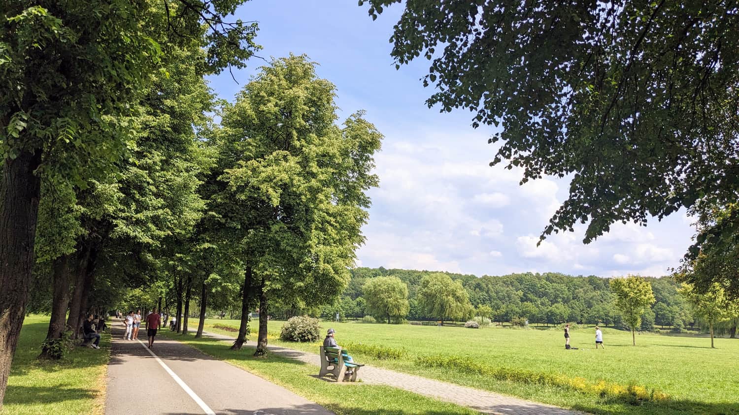 Dolina Trzech Stawów w Katowicach - Katowice