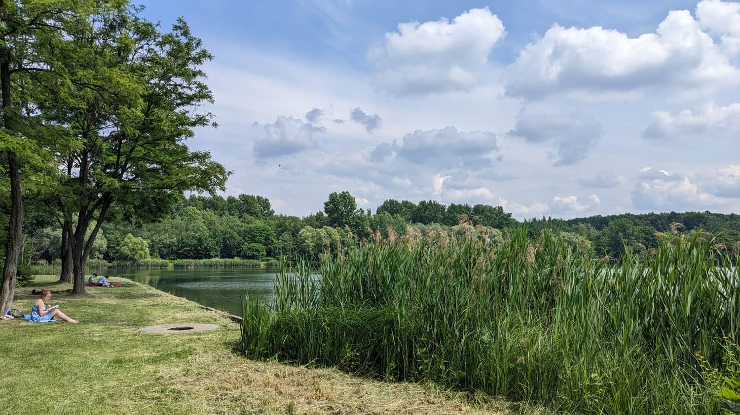 Dolina Trzech Stawów w Katowicach - Katowice