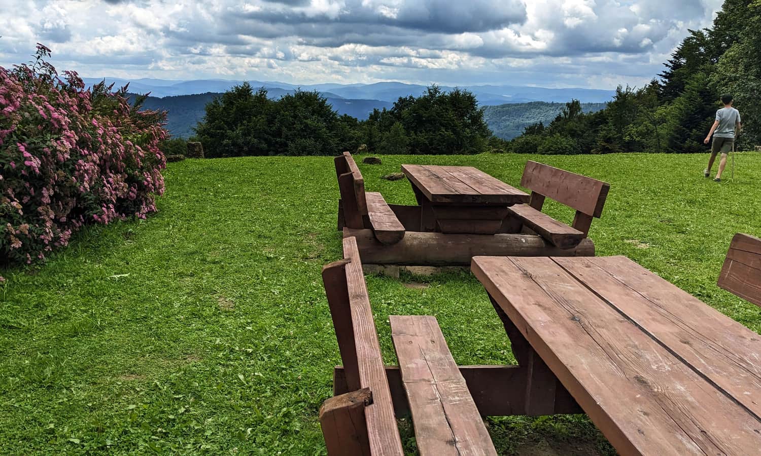 Wieża na Holicy: jak dojść i co zobaczymy z góry?