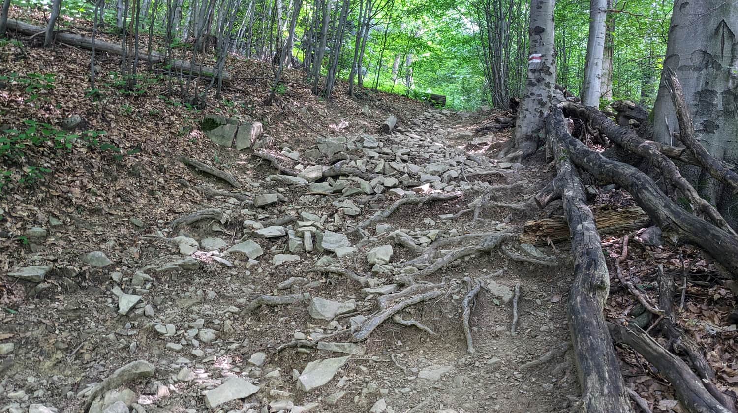 Lackowa z Wysowej-Zdrój: szlak przez Ostry Wierch