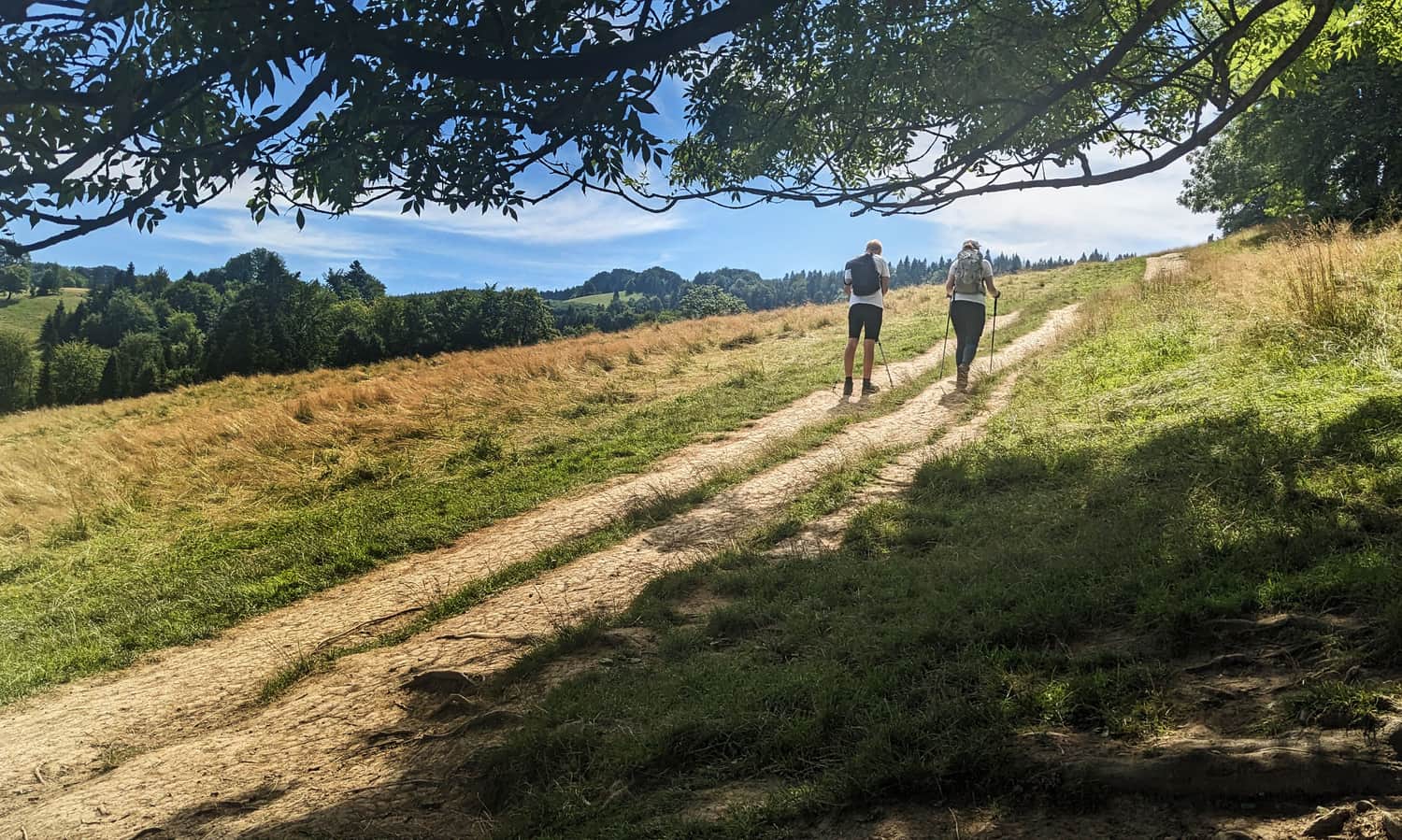 Wysoka - najkrótszy szlak przez Wąwóz Homole