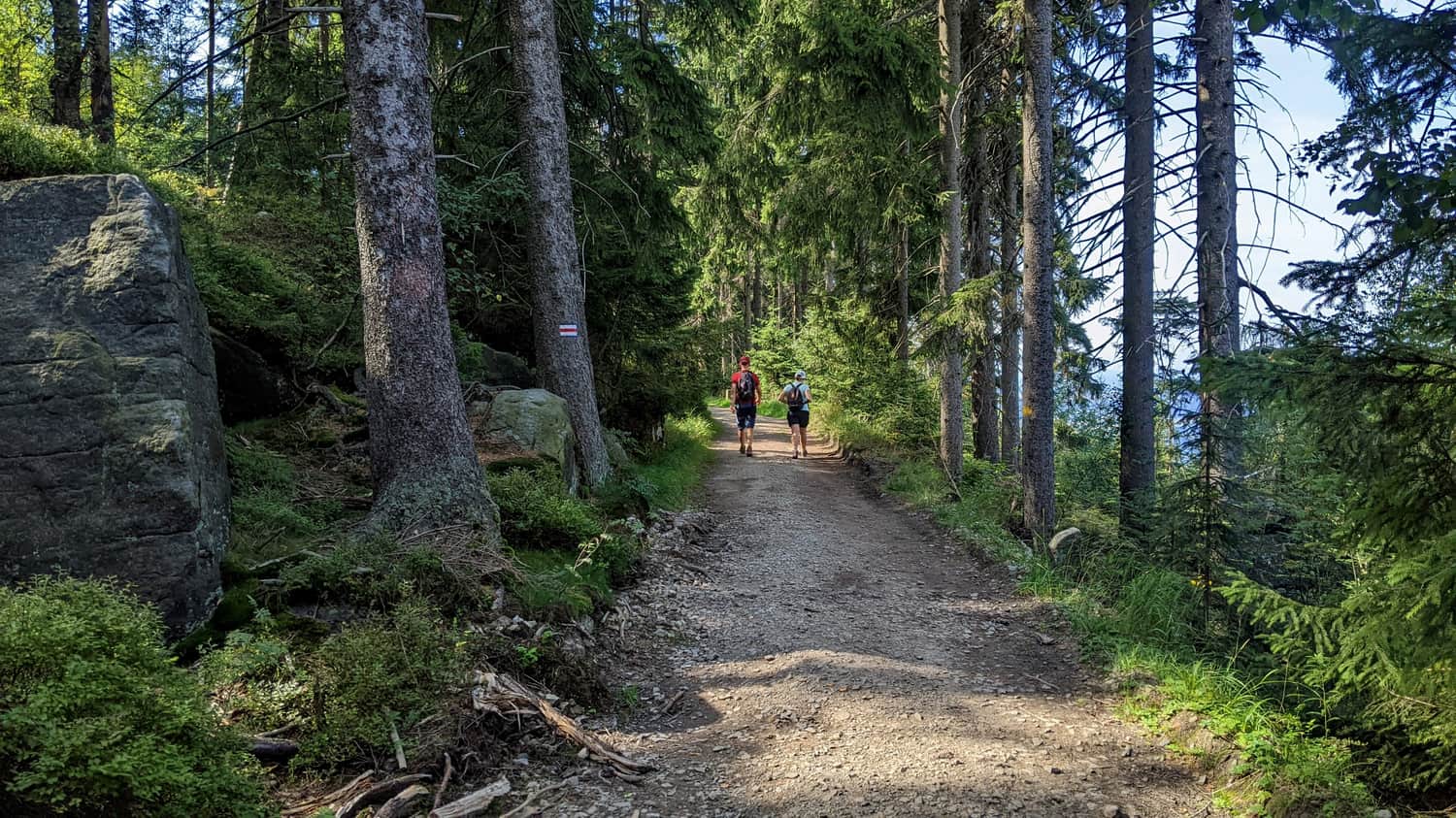 From Karlów to Błędne Skały (Errant Rocks) - an excellent trail ...