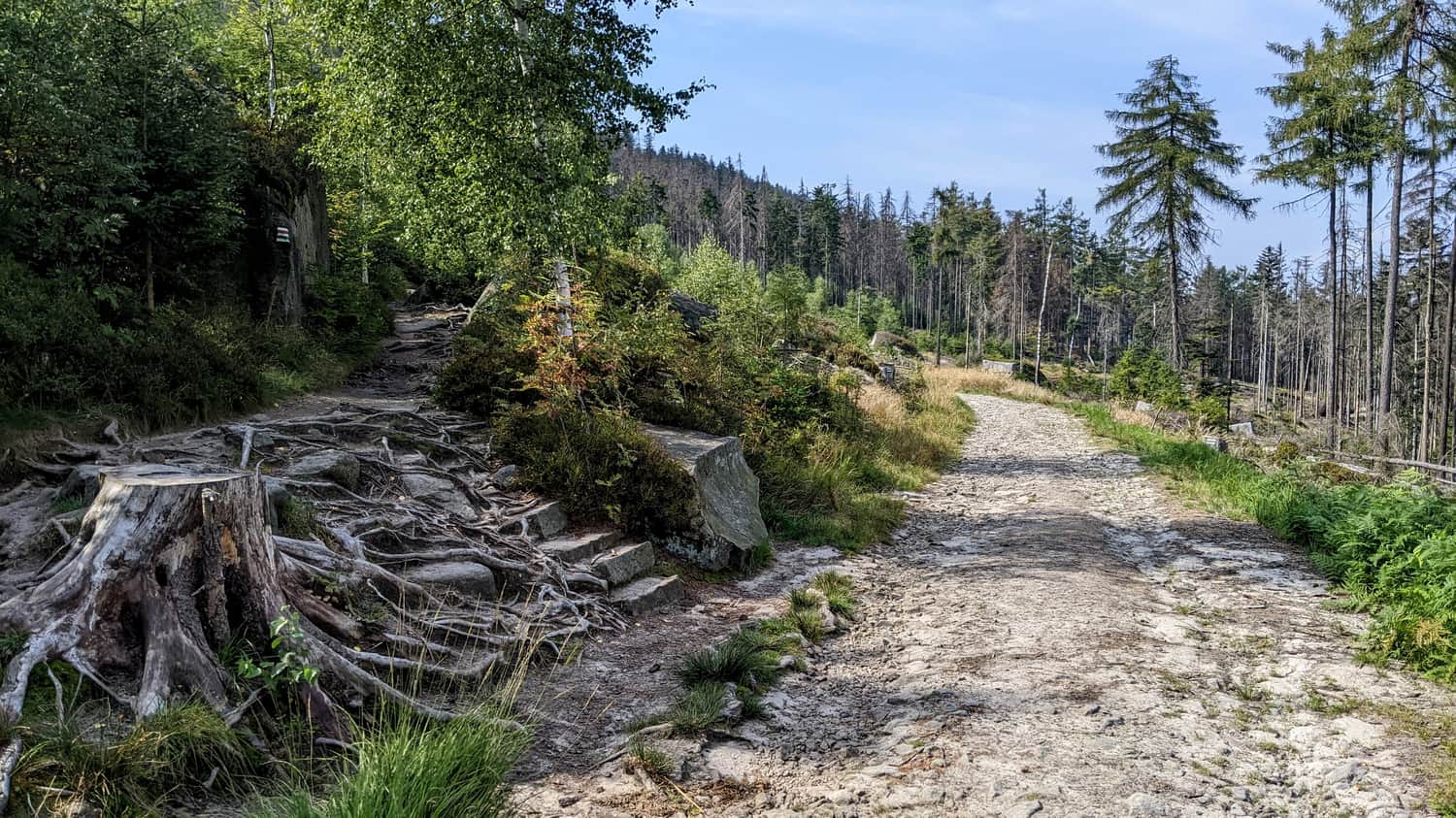 From Karlów to Błędne Skały (Errant Rocks) - an excellent trail ...