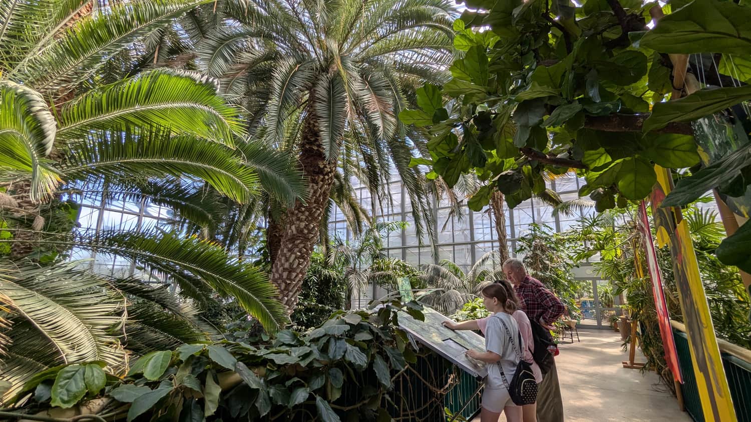 Palmiarnia Miejska w Gliwicach - tropikalny ogród w sercu miasta