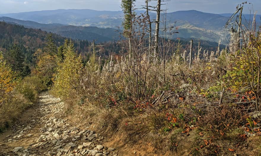 Niebieski szlak na Lubań z Ochotnicy Dolnej