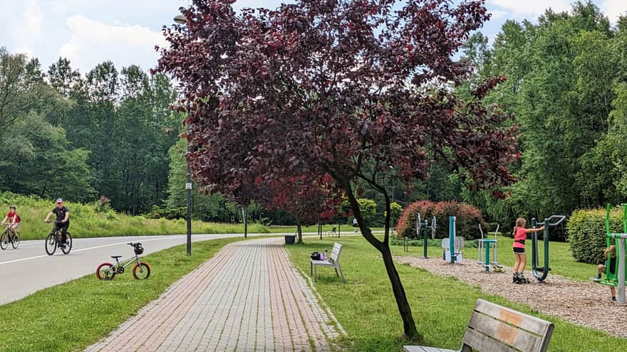 Dolina Trzech Stawów w Katowicach - Katowice